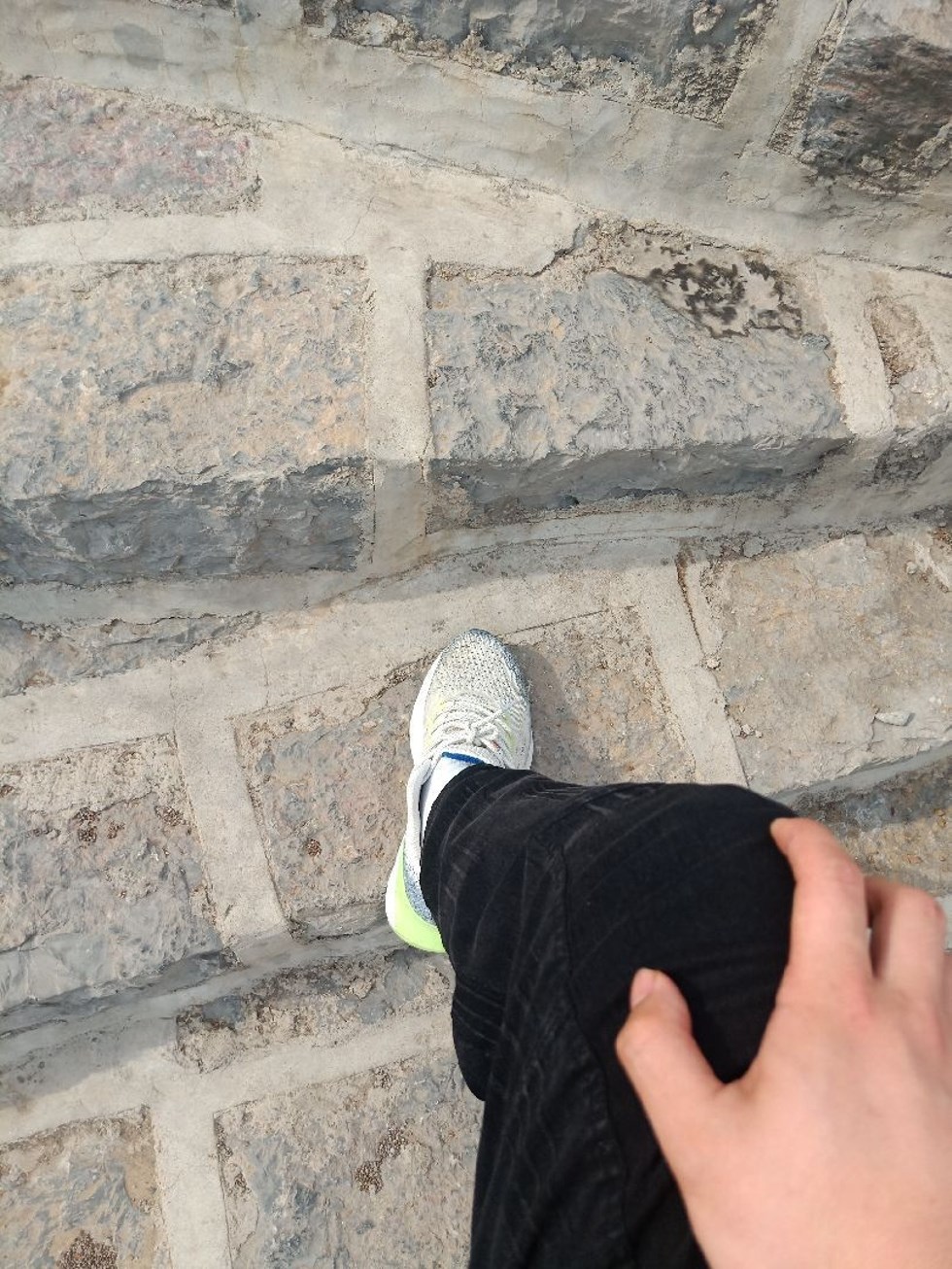 蒙爱网新来的留个动态 ㊗️姊妹们节日快乐 -蒙爱网